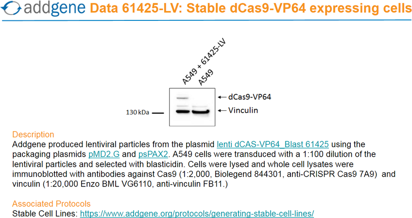 Addgene: lenti dCAS-VP64_Blast
