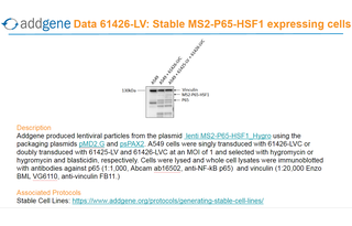 Addgene: lenti MS2-P65-HSF1_Hygro